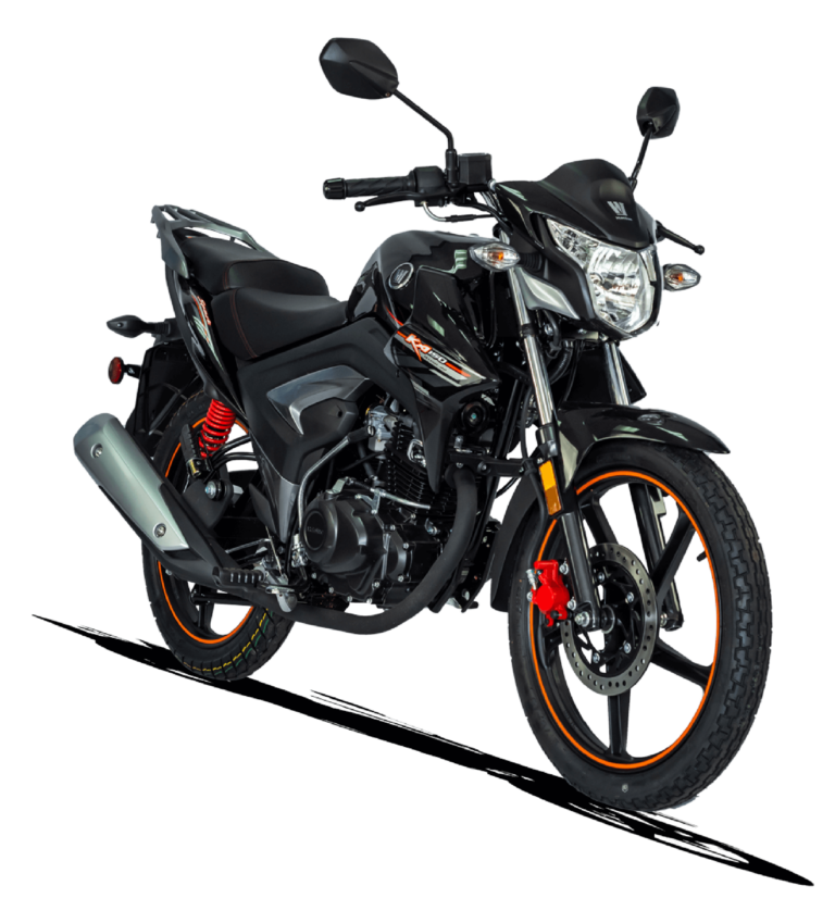 Sx2-200 - GENESIS ORIENTAL MOTORS